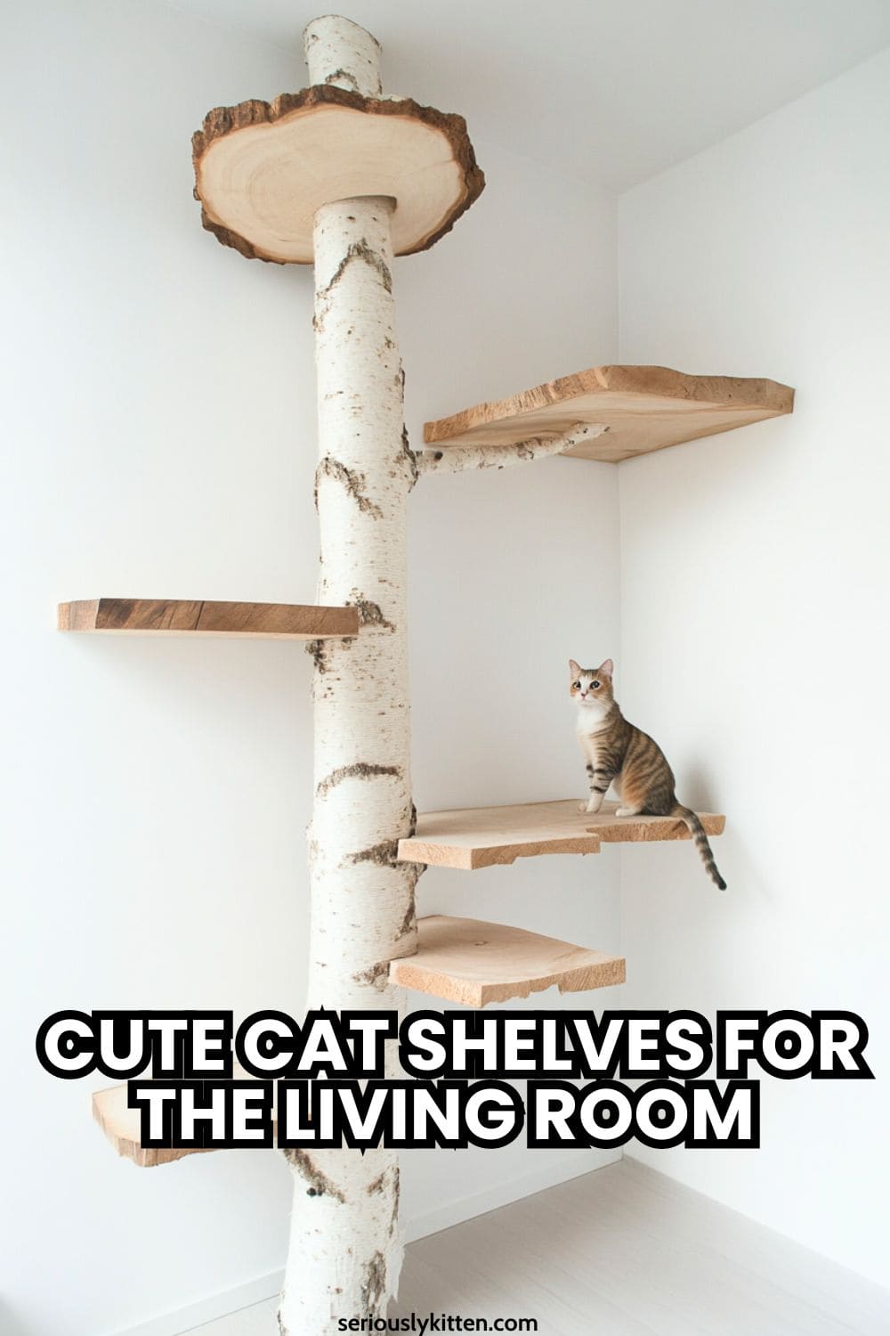 41 Clever DIY Cat Climbing Shelves for Small Spaces
