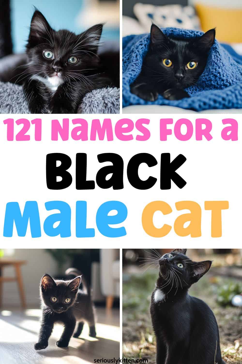 121 Cool Black Cat Names (Unique, Witchy, Gothic & Nature Inspired)
