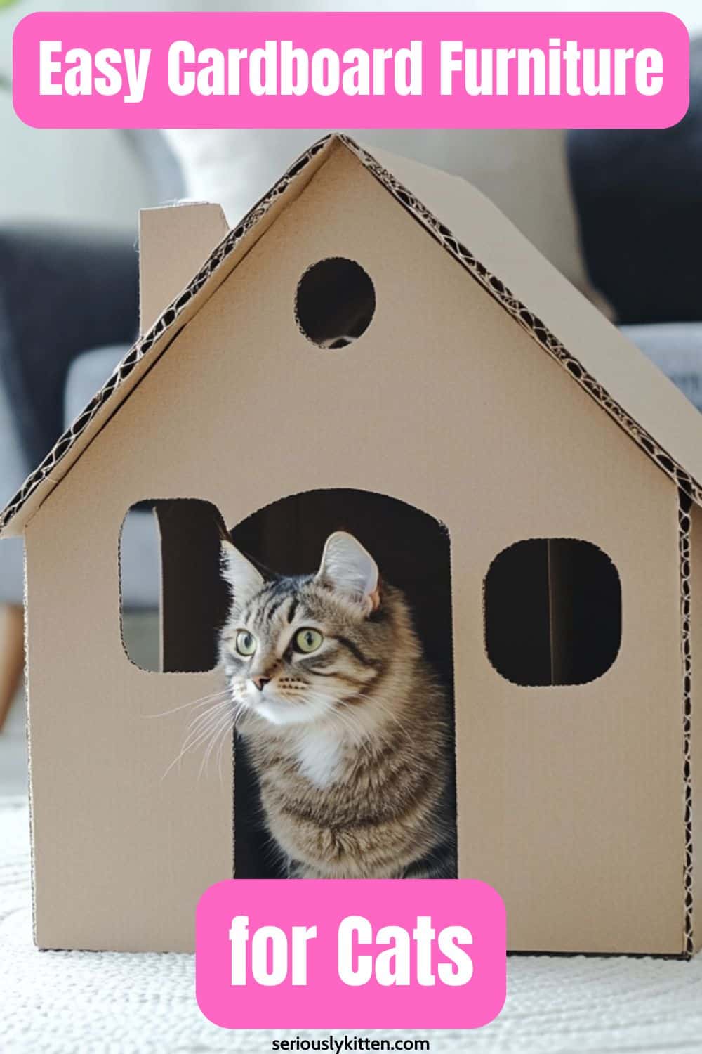 18 Cute & Easy DIY Cardboard Furniture for Cats