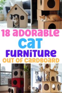 18 Cute & Easy DIY Cardboard Furniture for Cats