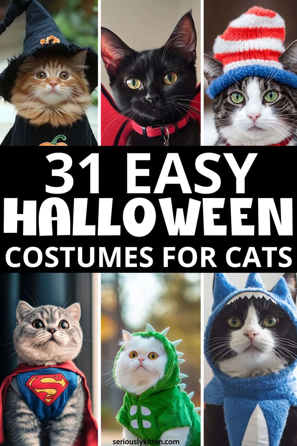 31 Playful Halloween Costume Ideas for Cats