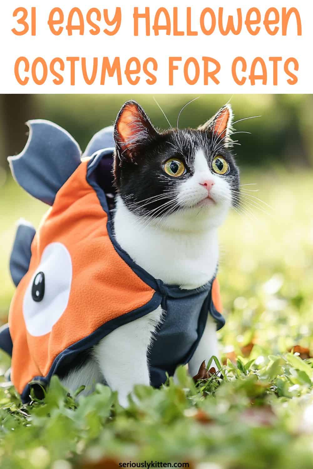 31 Playful Halloween Costume Ideas for Cats