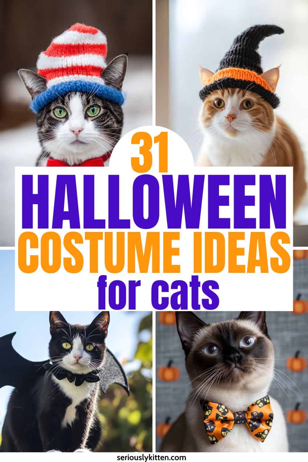 31 Playful Halloween Costume Ideas for Cats