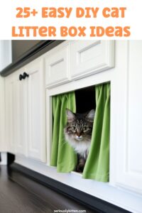 25+ Creative DIY Cat Litter Box Ideas