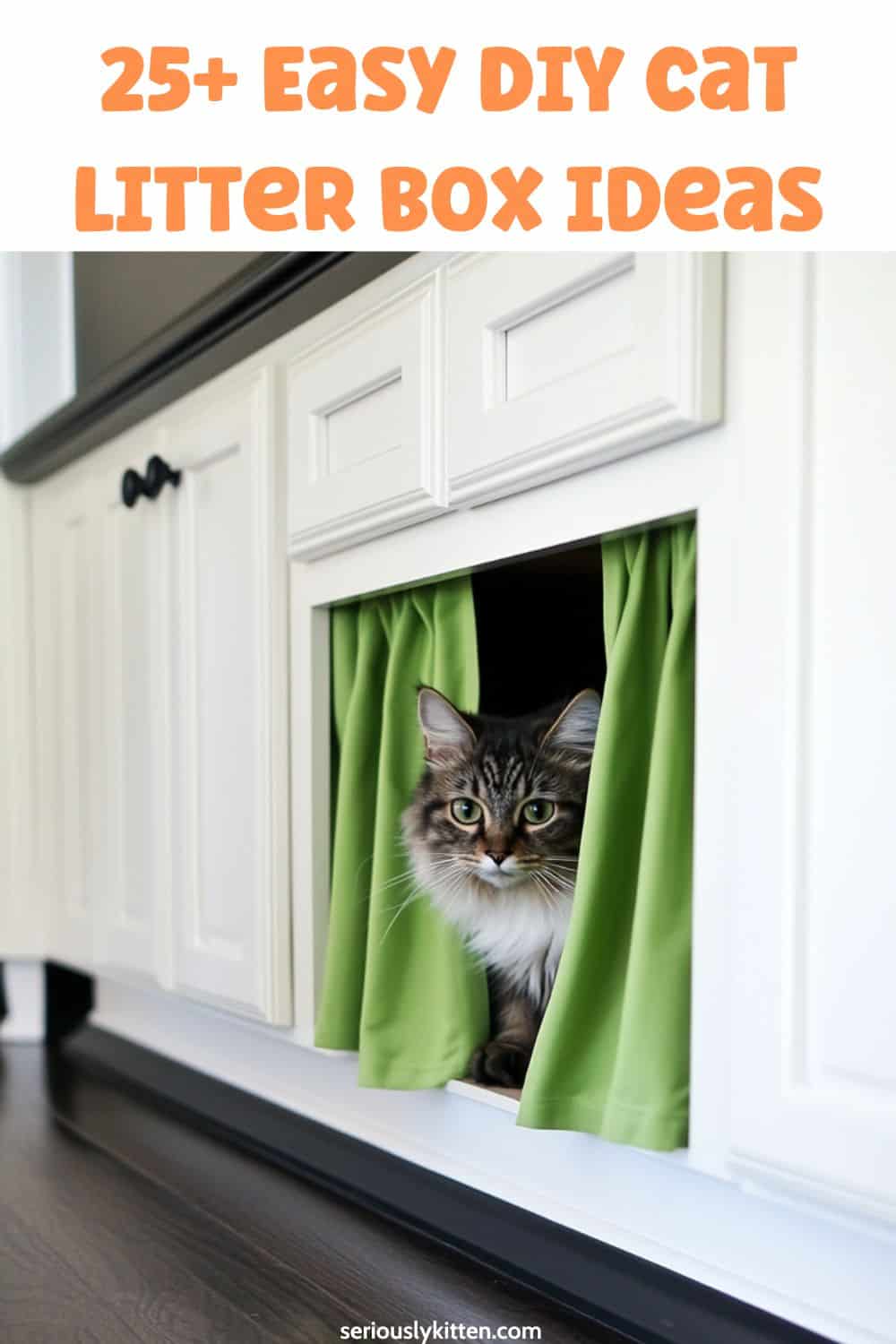 25+ Creative DIY Cat Litter Box Ideas