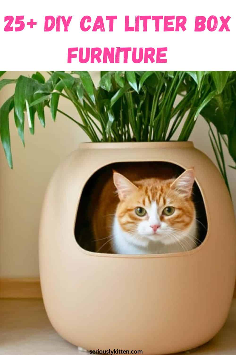 25+ Creative DIY Cat Litter Box Ideas