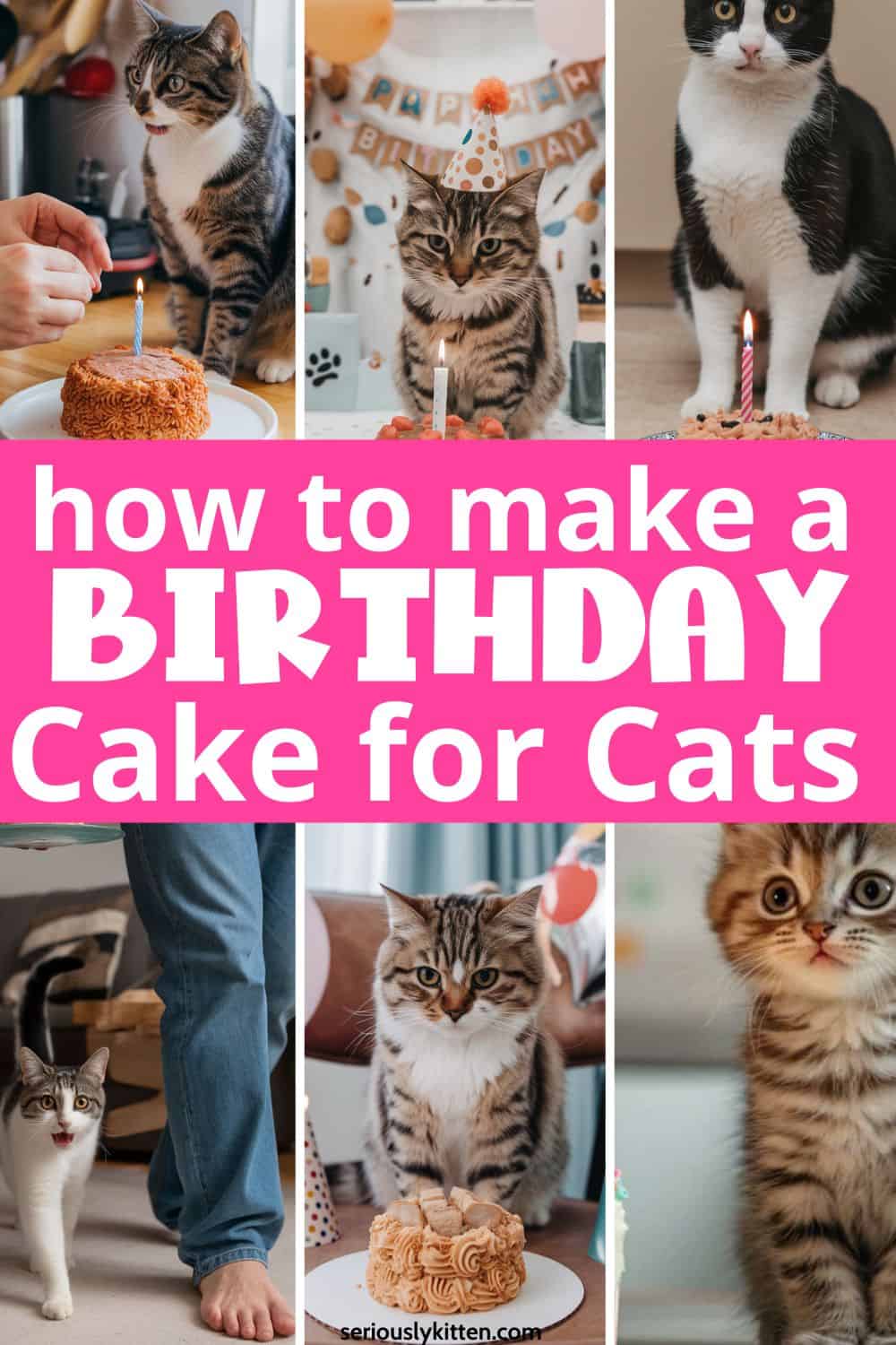 How to Make a Birthday Cake for Your Cat