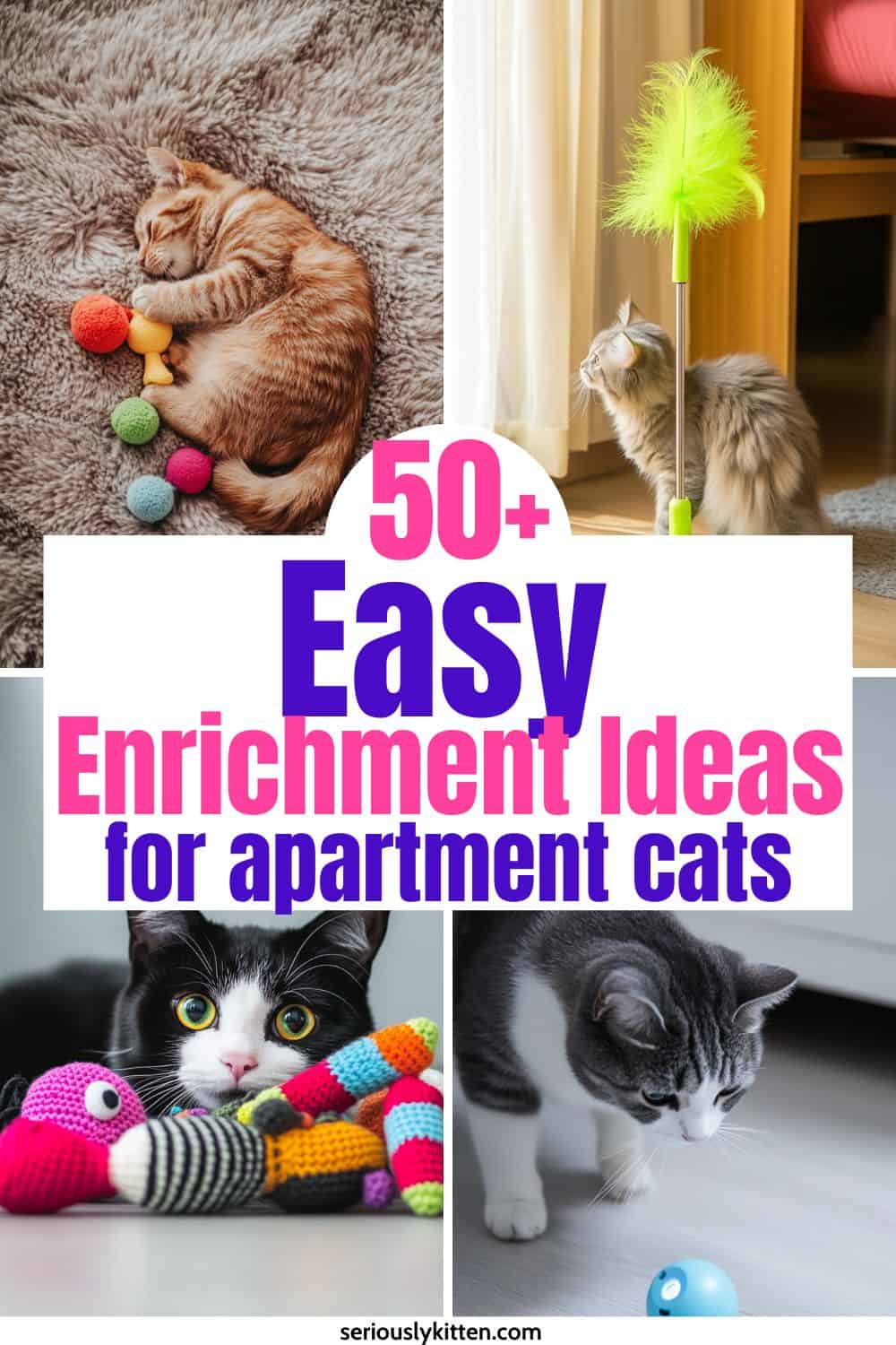 50+ Easy Enrichment Ideas for Apartment Cats
