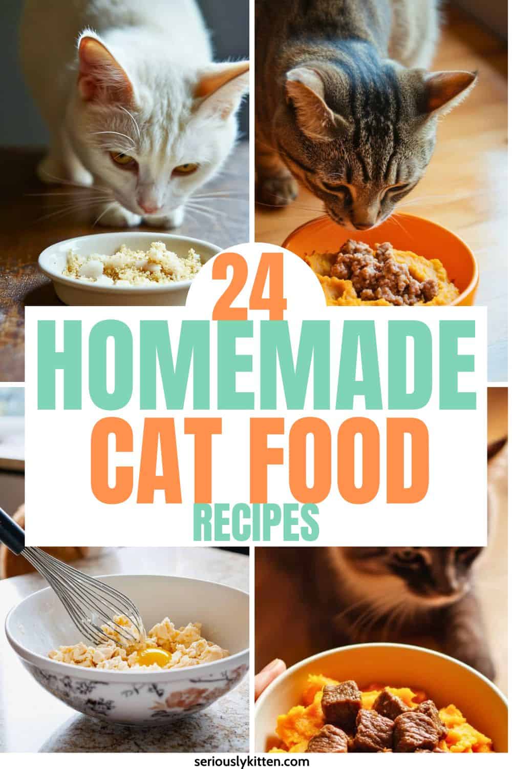 24 Easy Homemade Cat Food Recipes