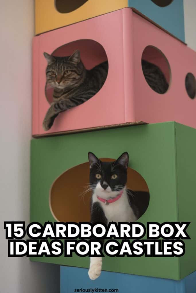 15 Fantastic Cat Castle Ideas