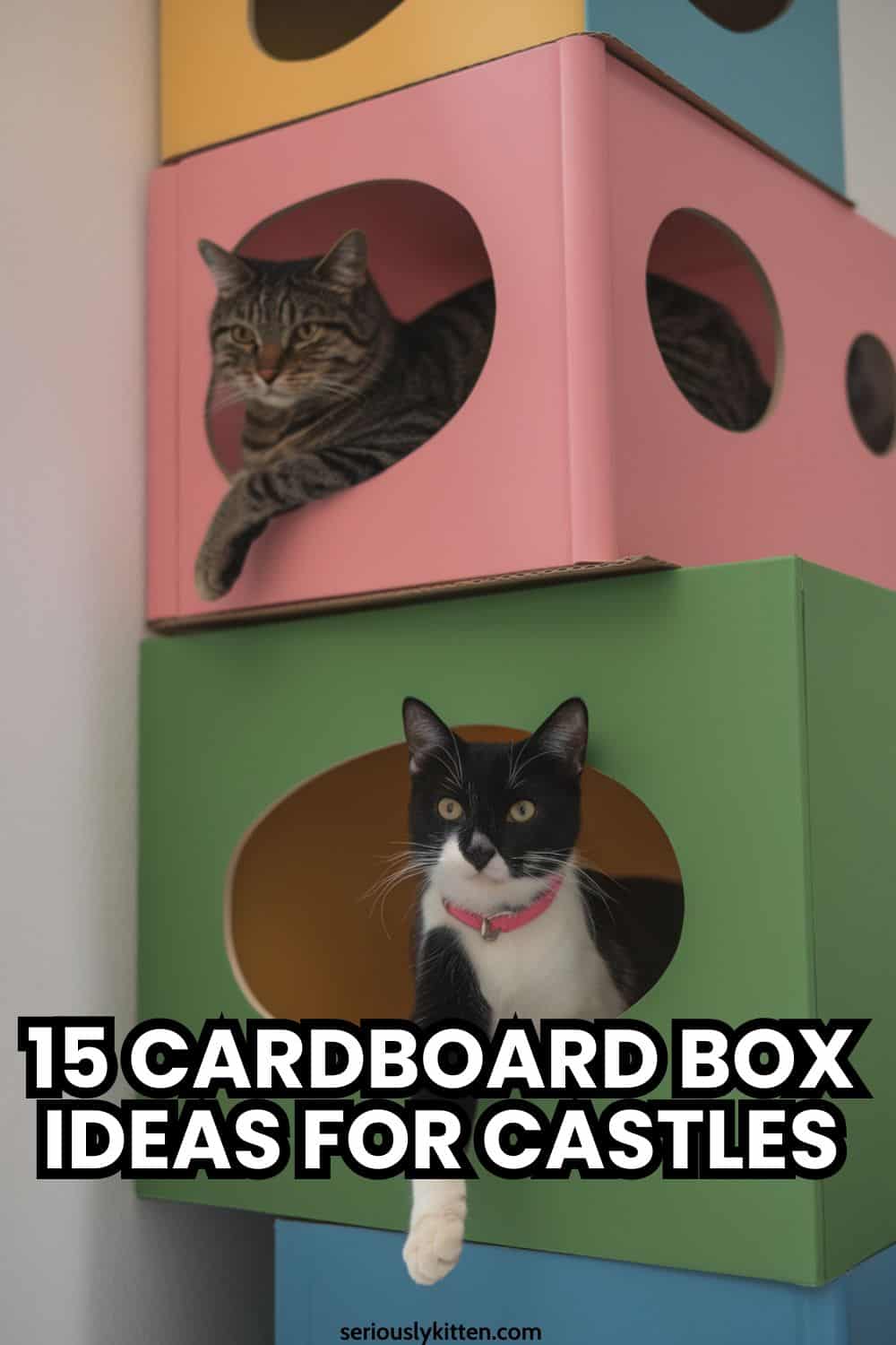 15 Fantastic Cat Castle Ideas
