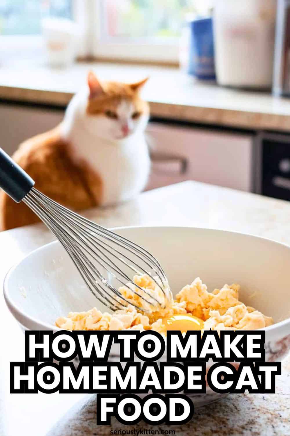 24 Easy Homemade Cat Food Recipes