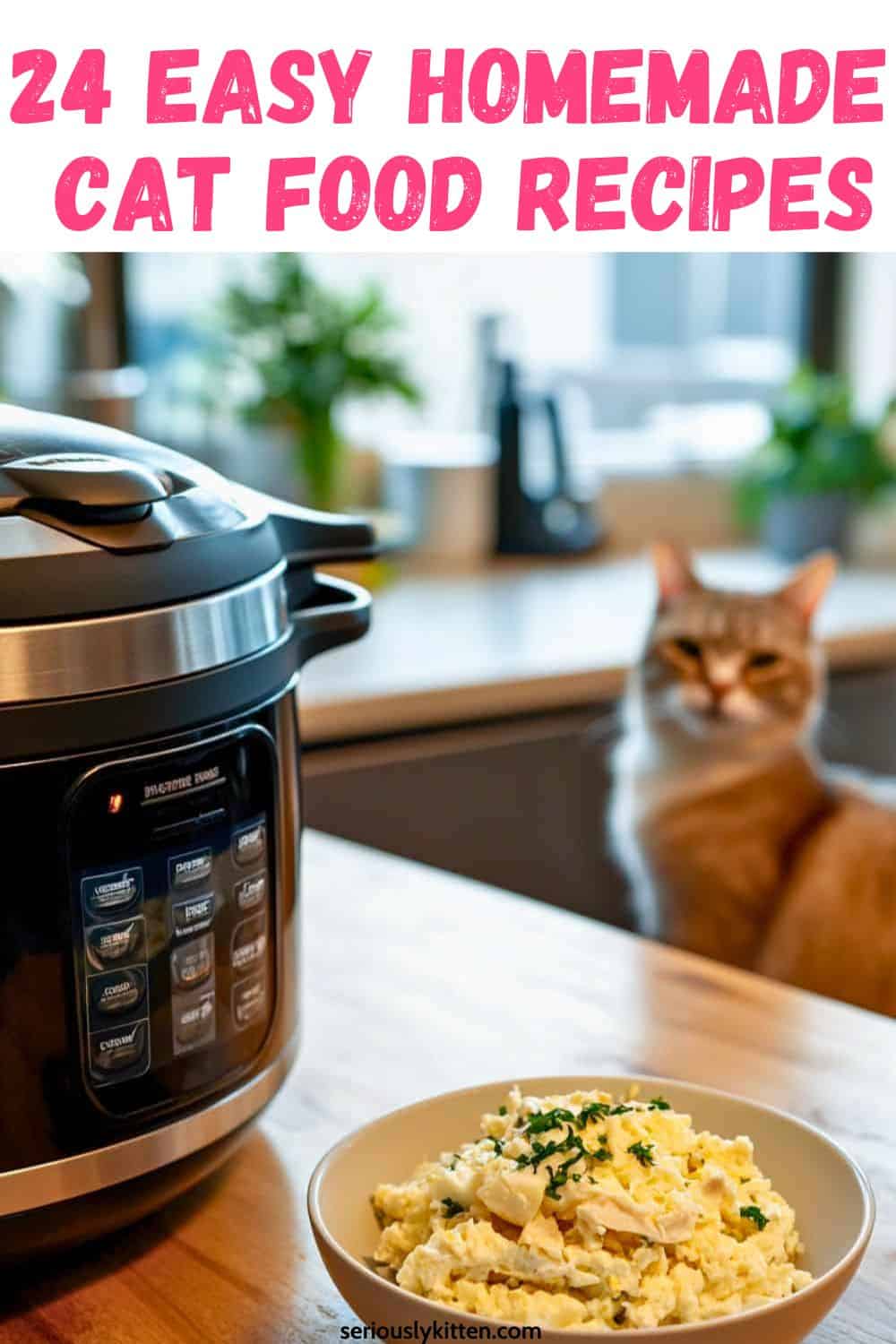 24 Easy Homemade Cat Food Recipes