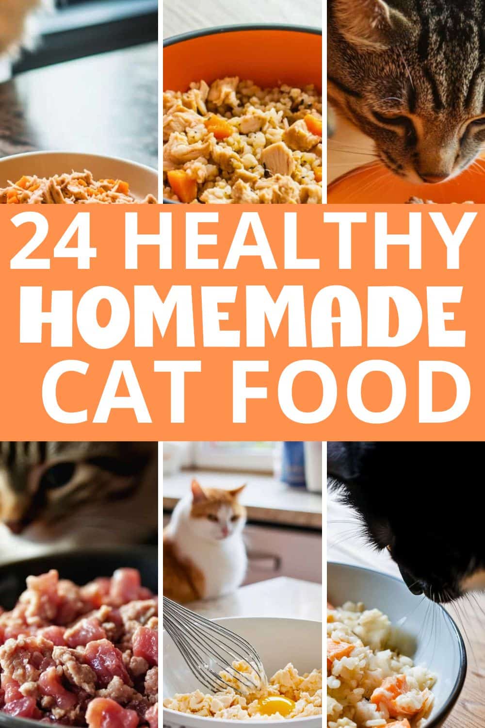24 Easy Homemade Cat Food Recipes