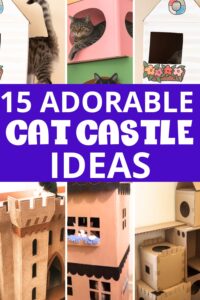 15 Fantastic Cat Castle Ideas