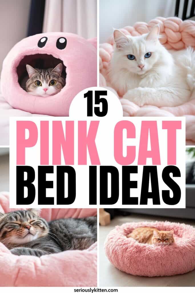15 Adorable Pink Cat Bed Ideas Your Kitty Will Love