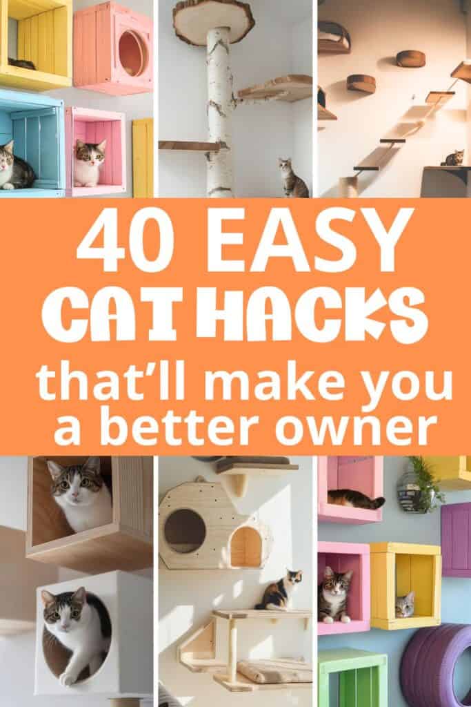 40 Useful Tips and Tricks that Will Make Anyone a Better Cat Owner