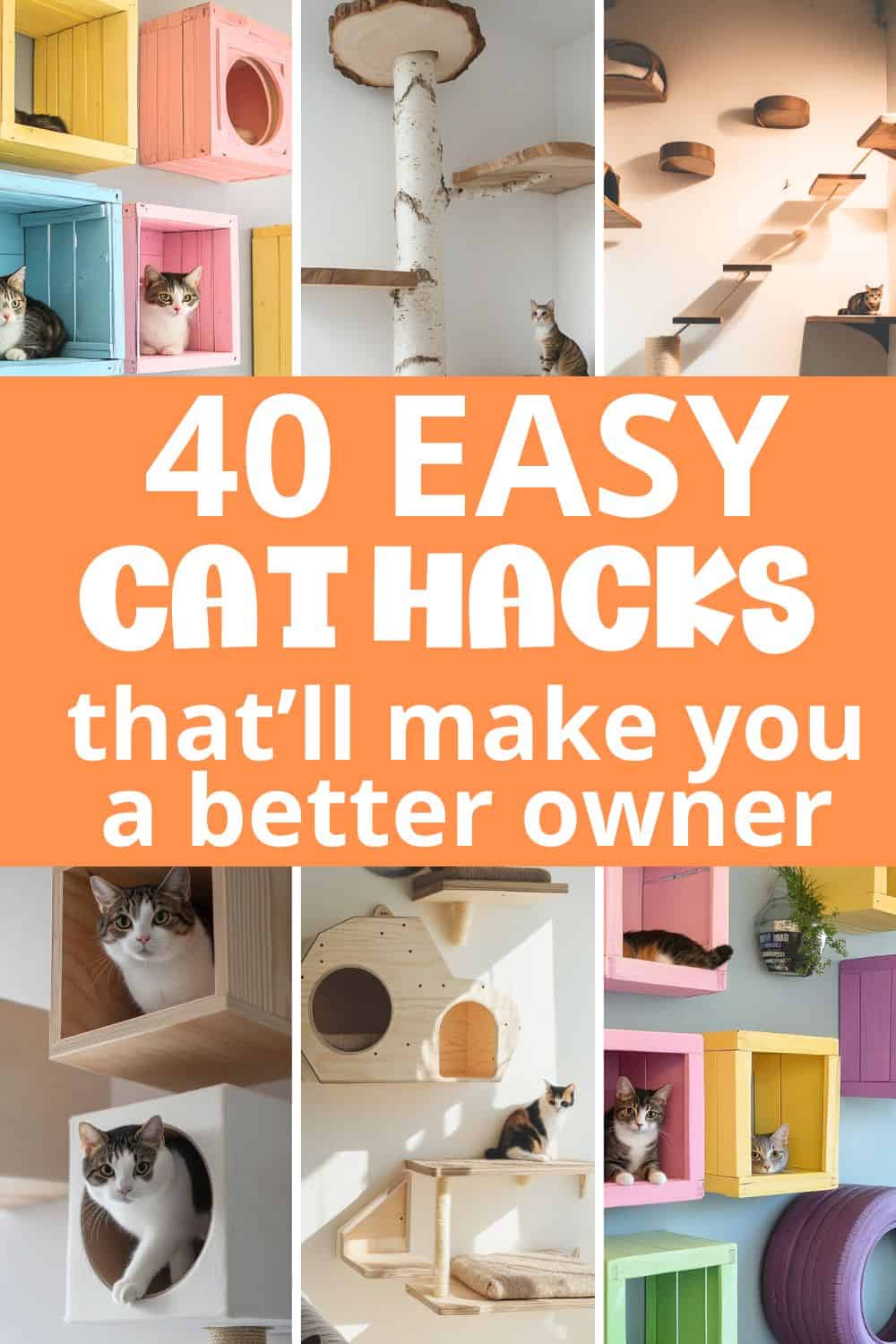 40 Useful Tips and Tricks that Will Make Anyone a Better Cat Owner