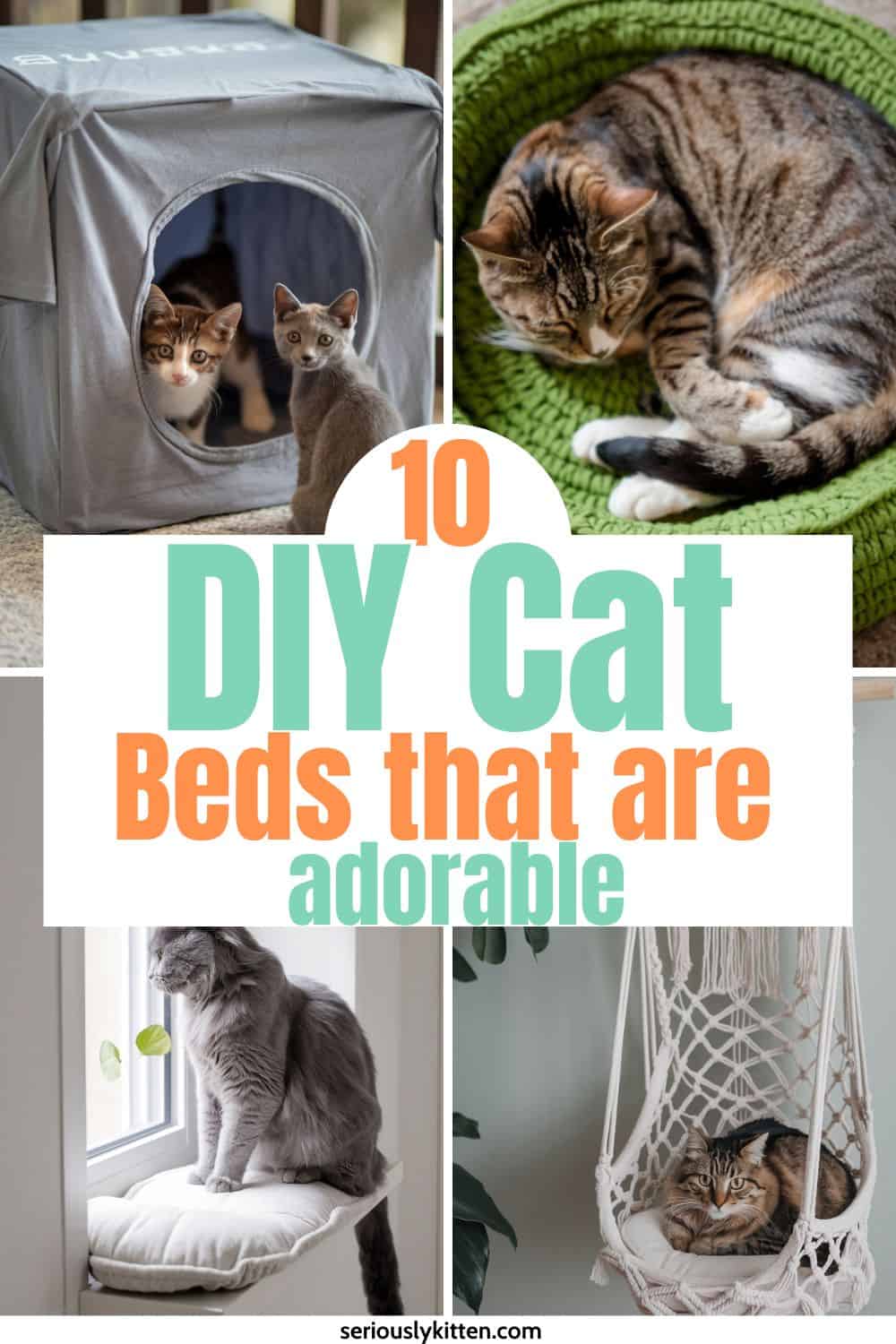 10 Adorable DIY Cat Beds Your Furry Friend Will Love