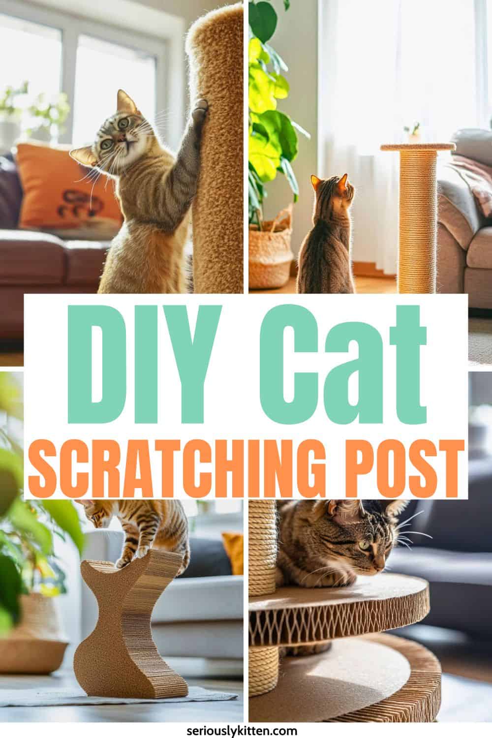 Fun DIY Cat Scratching Post for Your Kitty