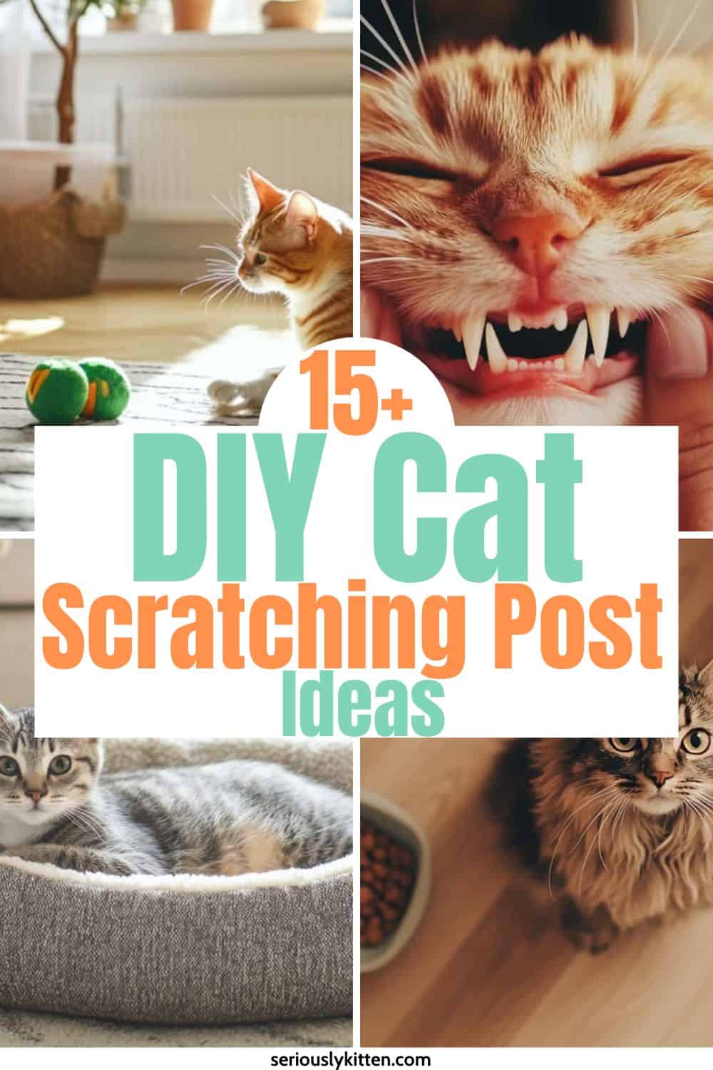 Fun DIY Cat Scratching Post for Your Kitty